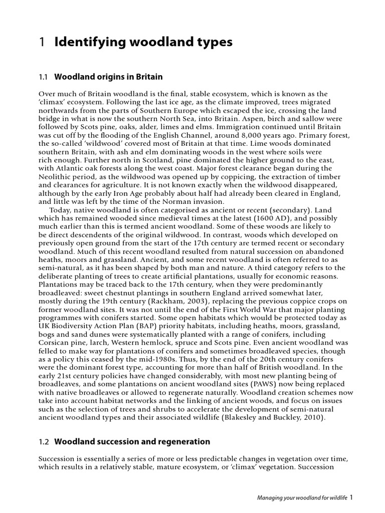 Types of British Woodland Explained | PDF | Trees | Forests