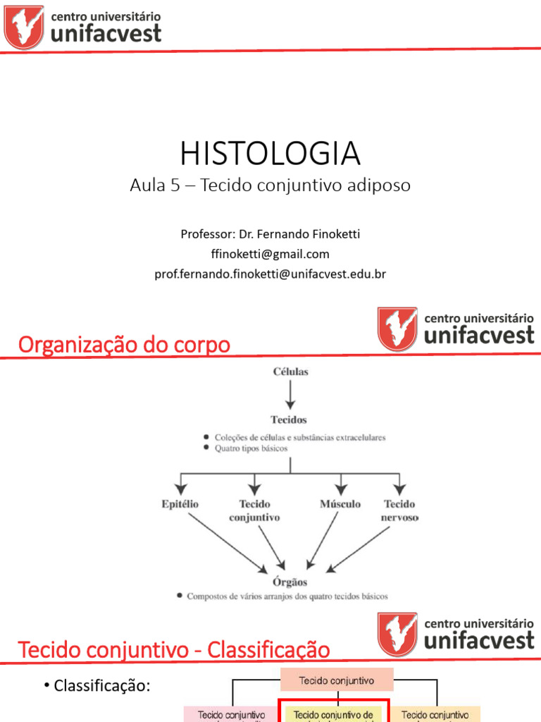 Tecido Conjuntivo Adiposo Unilocular | PDF