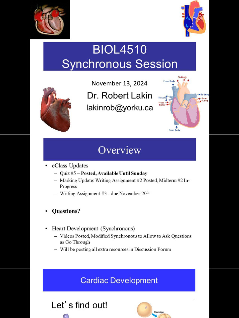 Heart Development | PDF