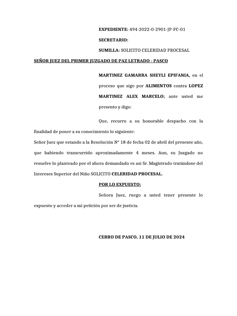 Celeridad Procesal | PDF