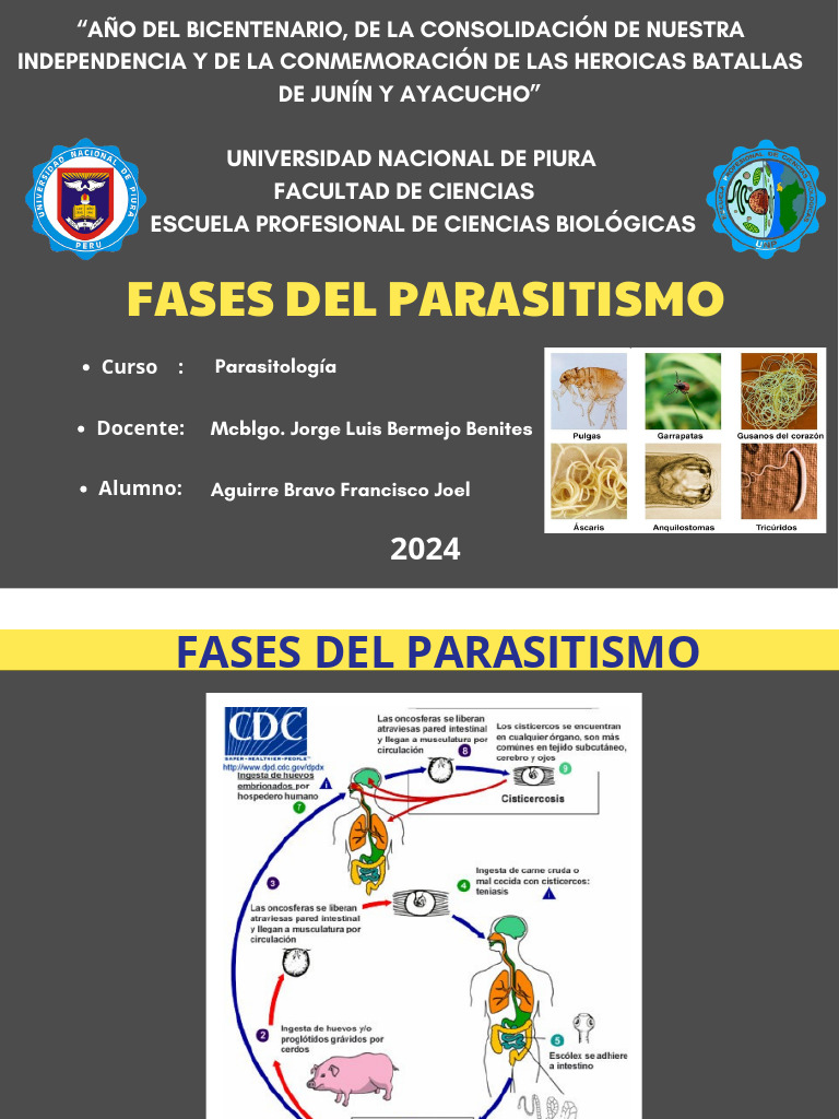 Seminario Fases Del Parasitismo | PDF | Parasitismo | Microbiología
