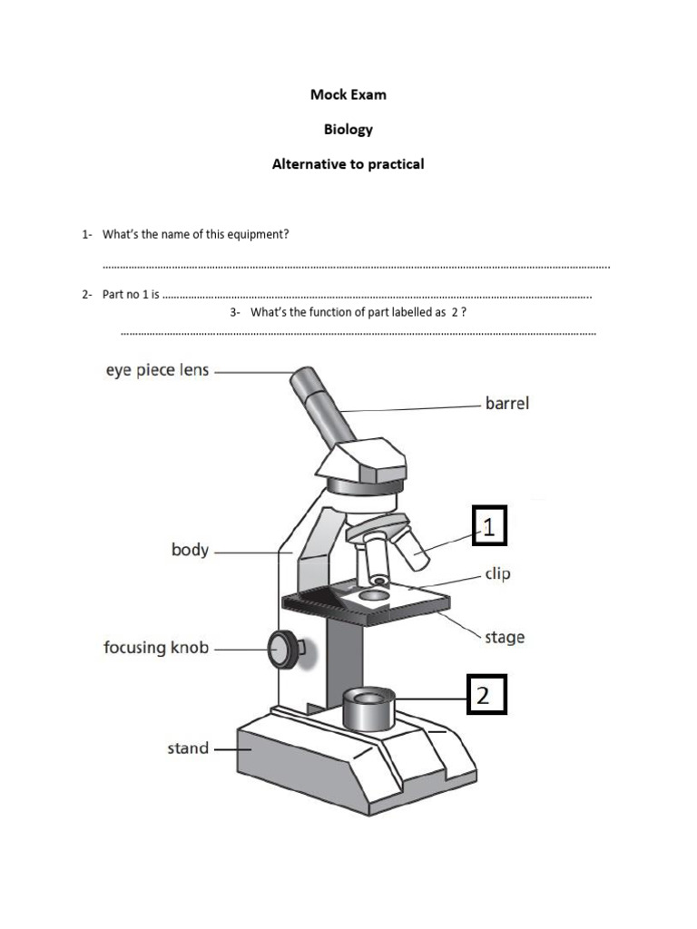 Mock Exam (Alternative To Practical) | PDF