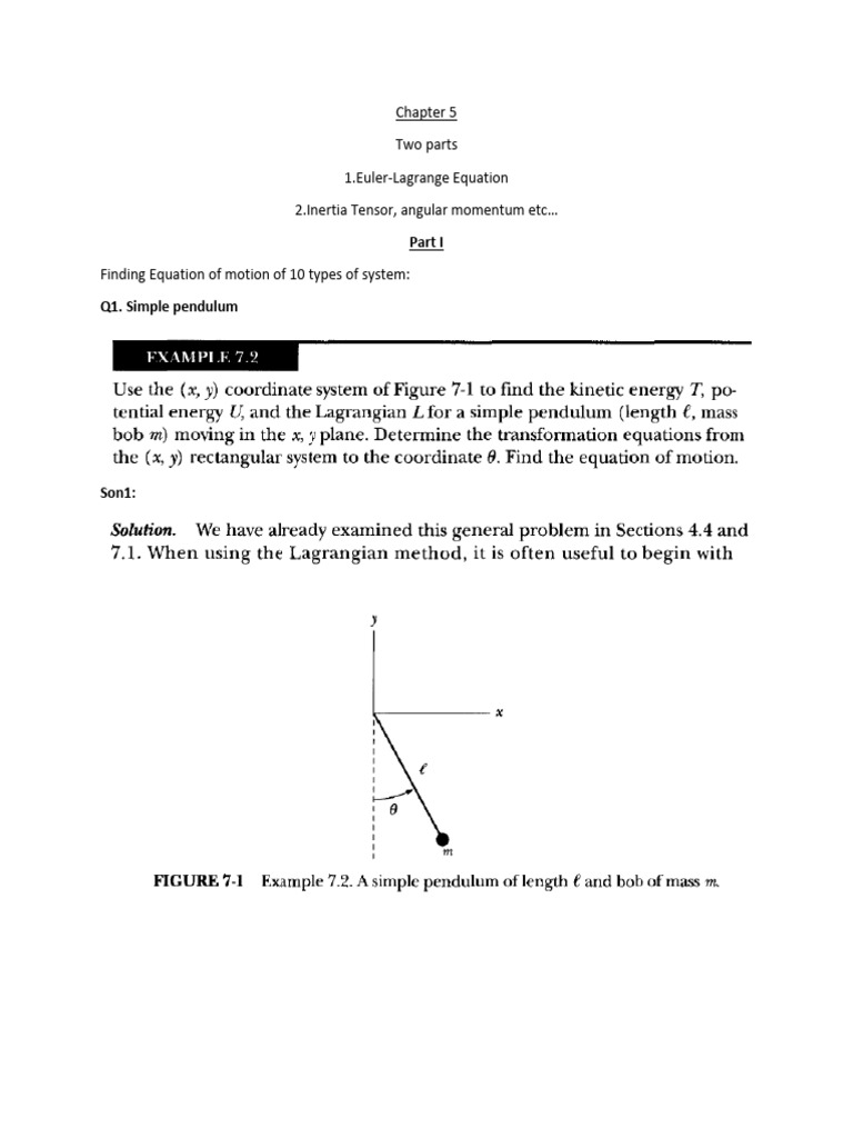 4 Euler-Lagrange | PDF