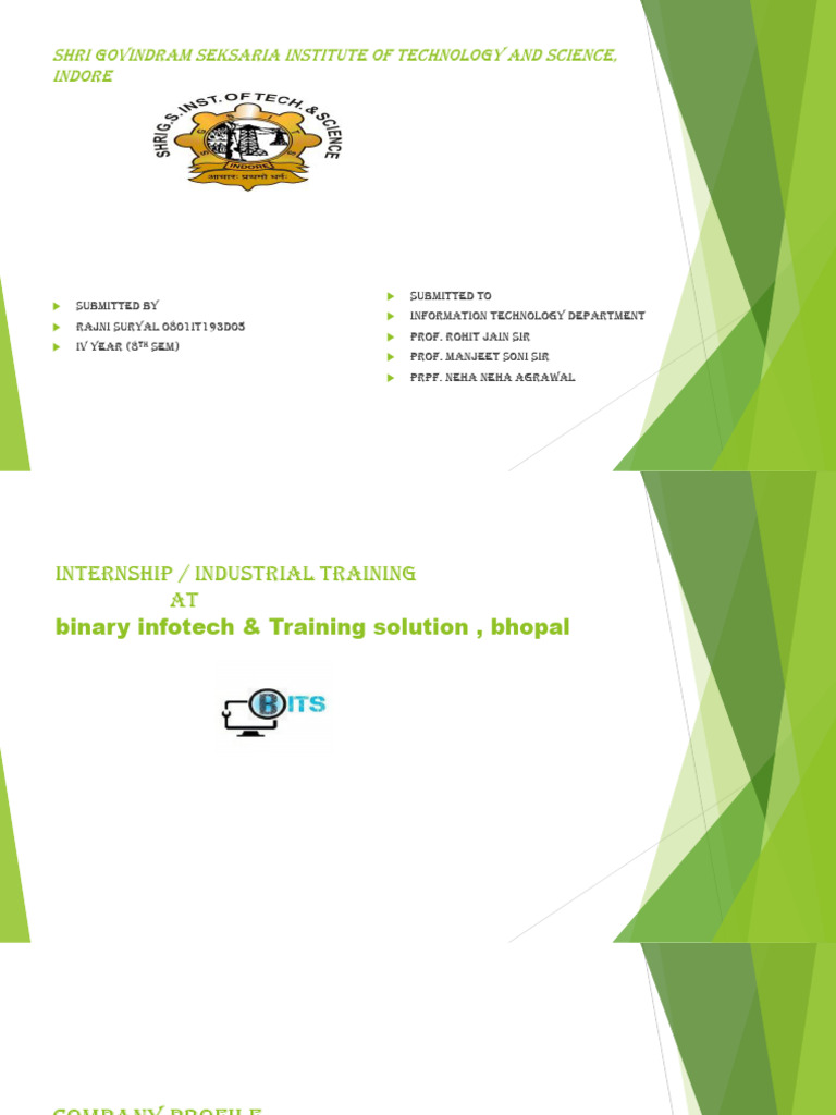 Internship Presentation 8th Sem | PDF