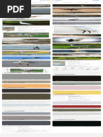 One Leg Bird Meme - Google Search | PDF