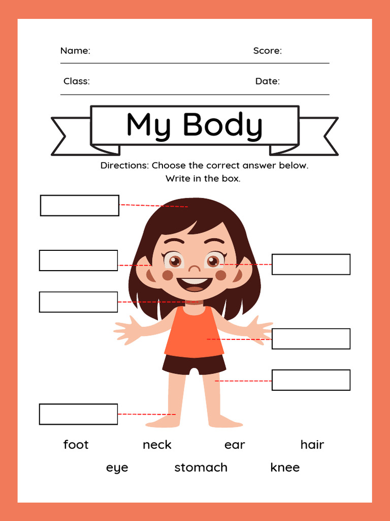 Minimalist Girl Body Parts Worksheet | PDF
