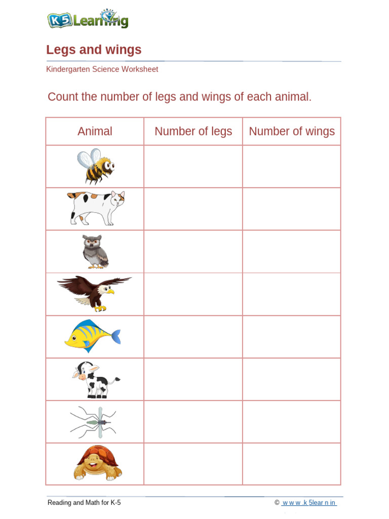 K-5 Animal Legs & Wings Worksheet | PDF