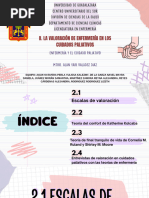 Escala Edmonton Symptom Assessment System | PDF