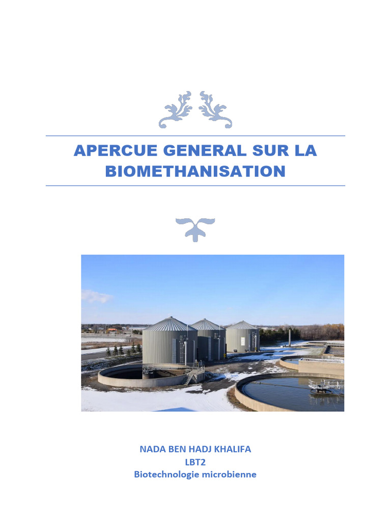 Aperçu de la biométhanisation | PDF | Méthanisation | Chimie