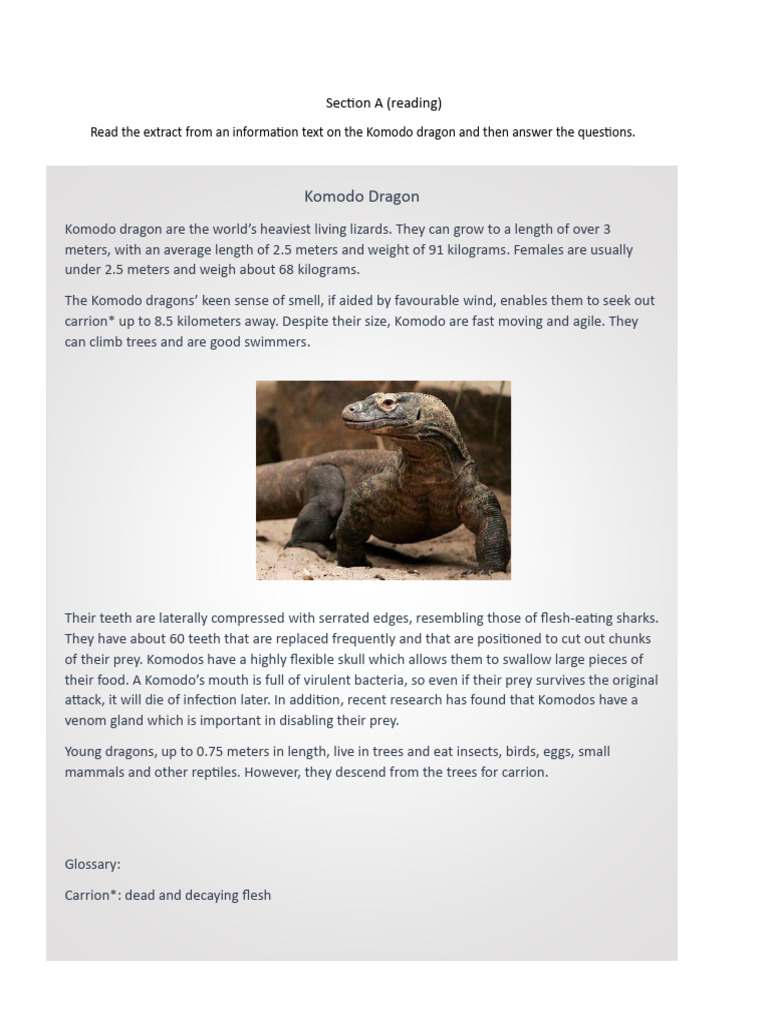 The Komodo Dragon Information Textxta77 | PDF | Komodo Dragon | Predation