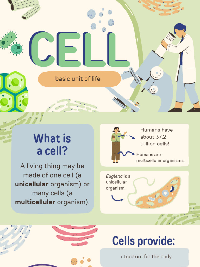 Understanding Cell Structure and Theory | PDF