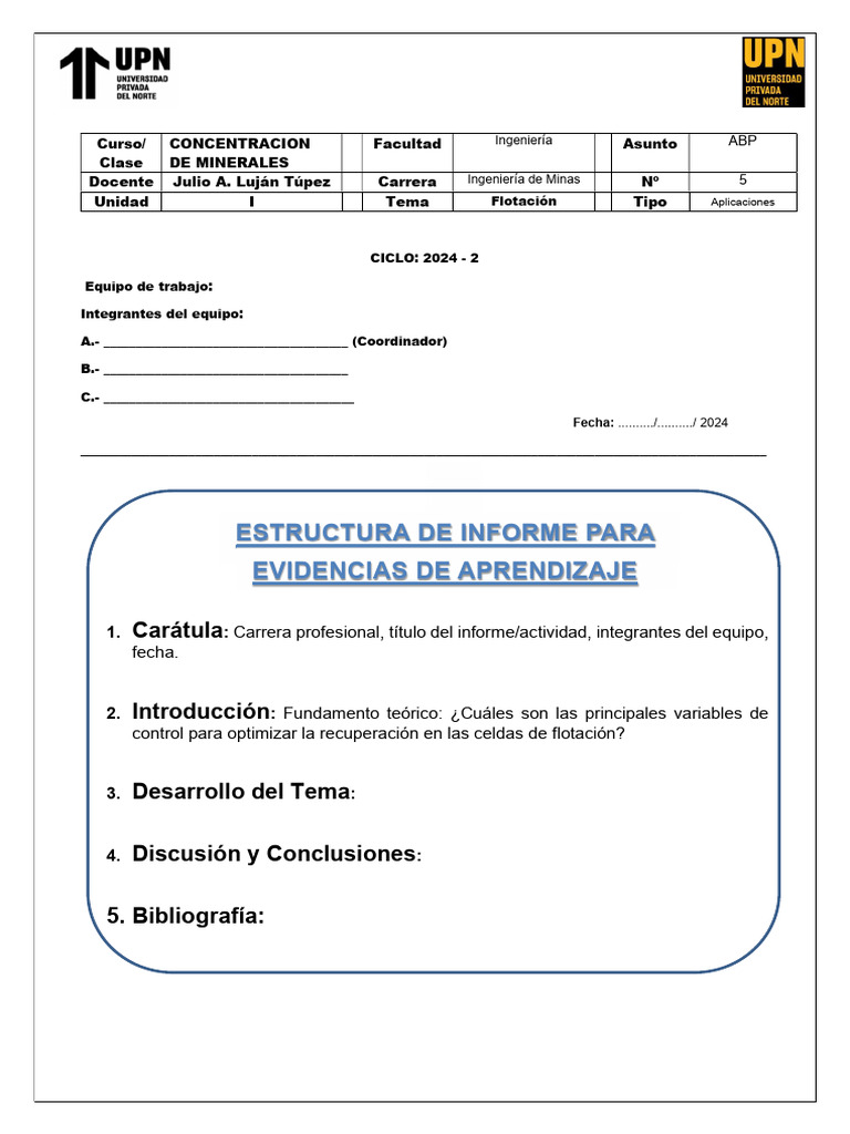 Abp5 - Flotacion - 2024-2 | PDF