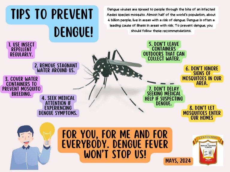 Tips To Prevent Dengue! 4H | PDF