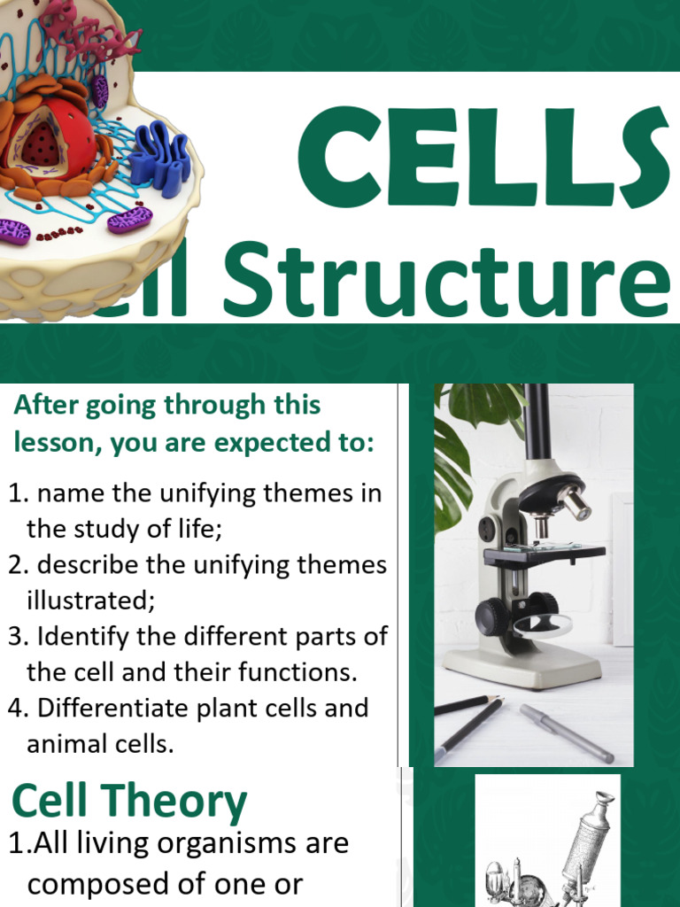 Life Science Lesson 2 Cells and Cell Structures | PDF | Cell (Biology ...