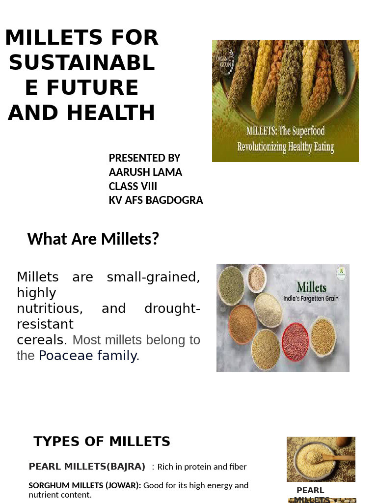Millets: Sustainable Nutrition Benefits | PDF | Agriculture | Cereals