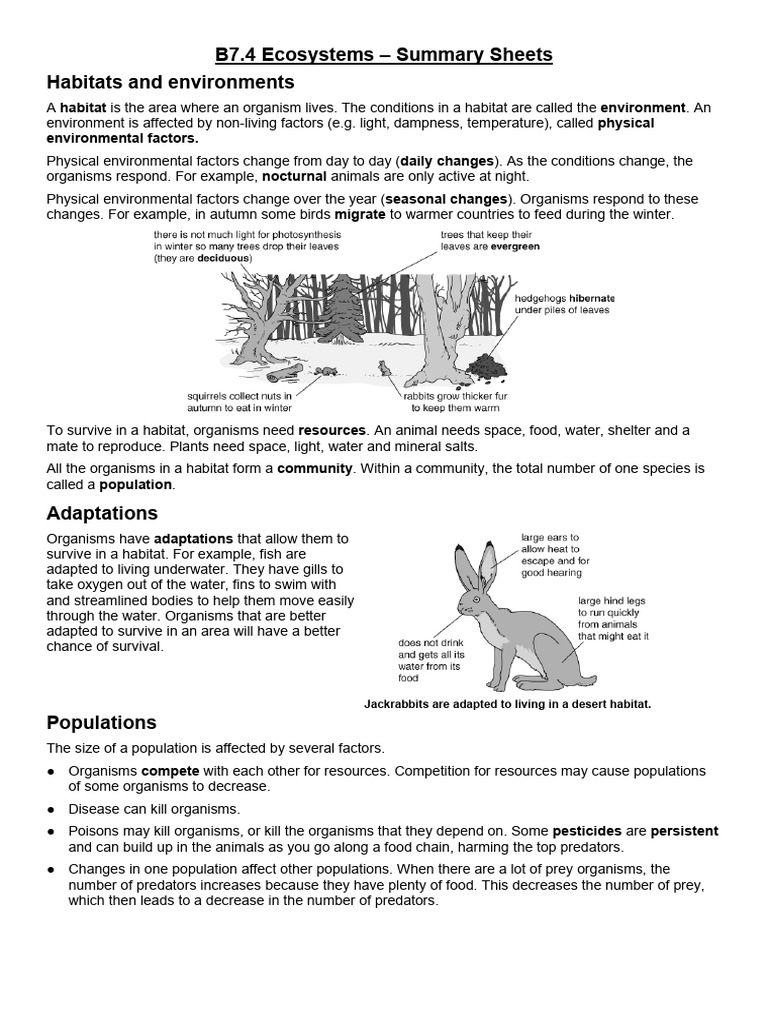 Ecosystems Summary Year 7 | PDF | Habitat | Predation