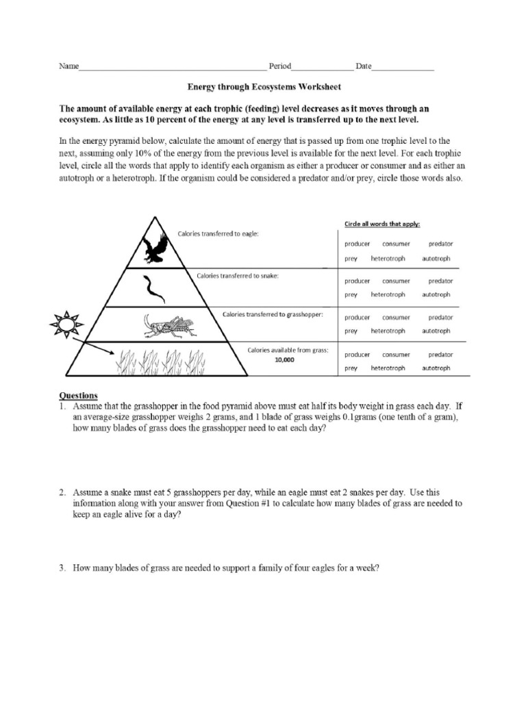 Energy Flow Year 7 | PDF