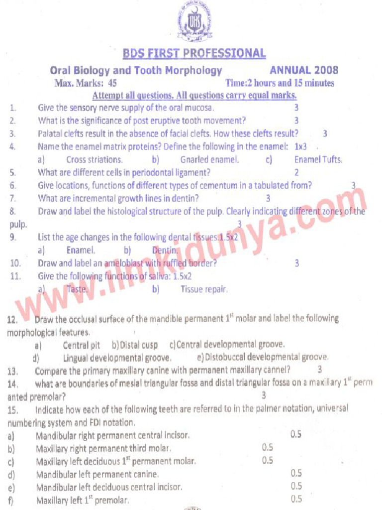UHS Past Papers BDS Oral Biology and Tooth Morphology 2008 | PDF