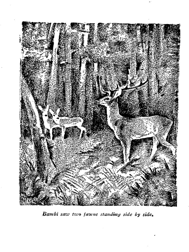 Bambi | PDF