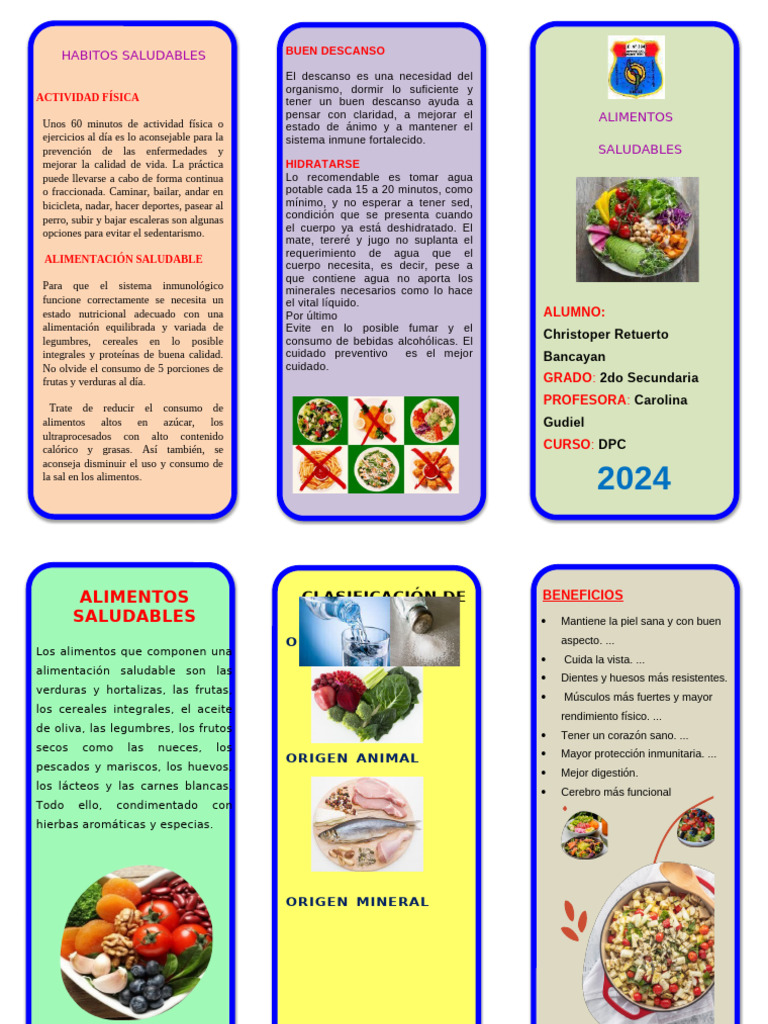 Triptico Alimentos Saludables | PDF | Alimentos | Dieta saludable