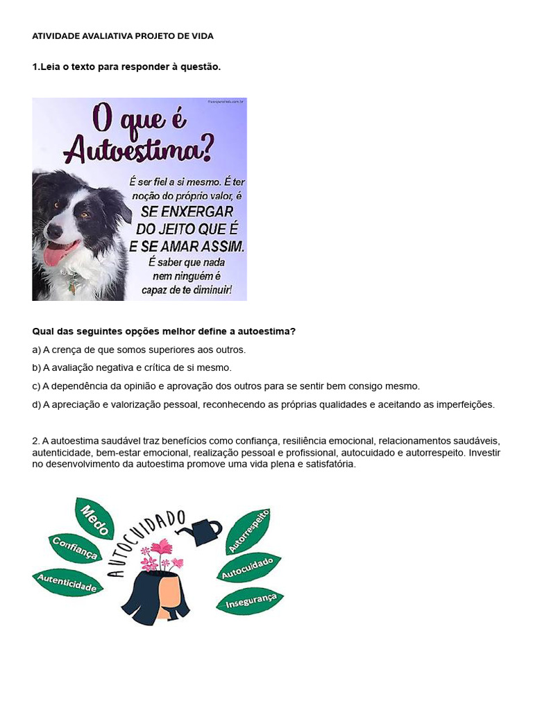 Atividade Avaliativa Projeto De Vida Pdf Autoestima Ciências