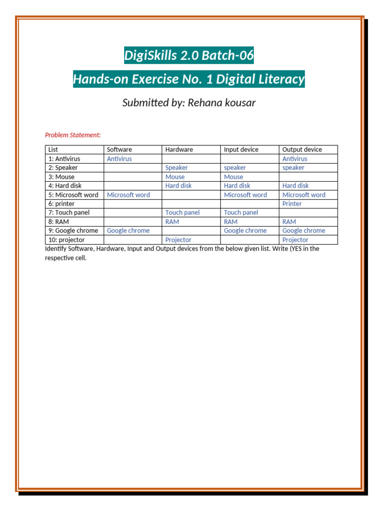 Digital Literacy Exercise Overview | PDF