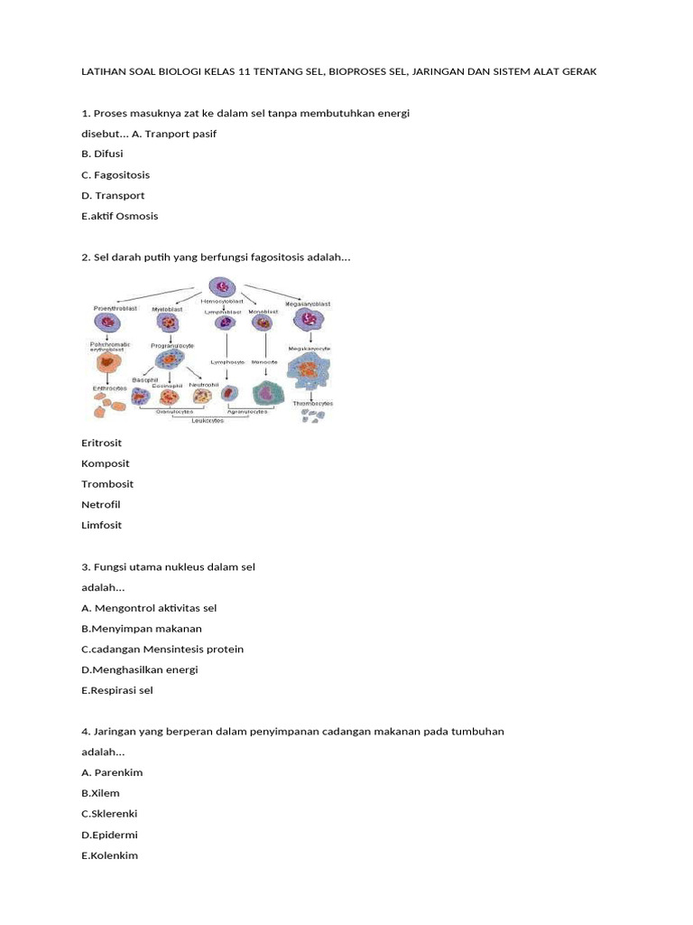 Latihan Soal Biologi Tentang Sel Dan Bioprosesnya, Jaringan Dan Sistem Alat Gerak Bio | PDF