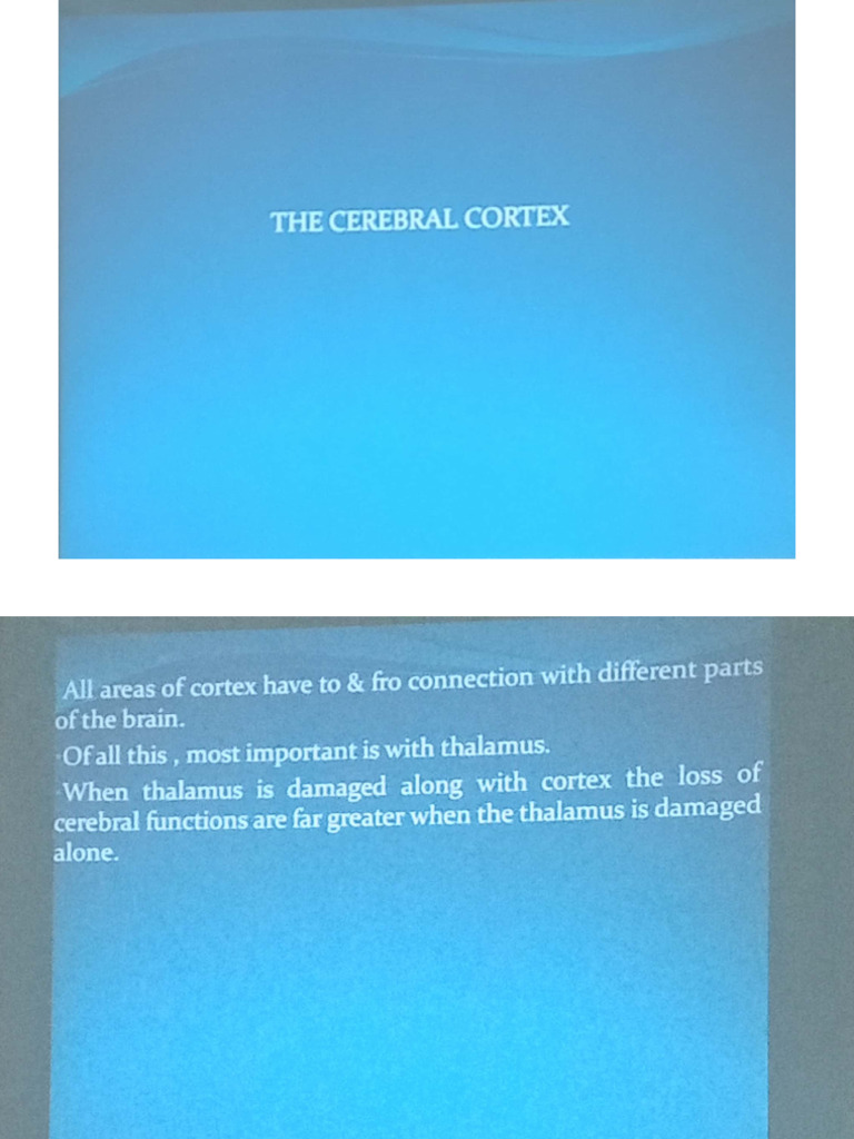 Physiology Cerebral Cortex | PDF