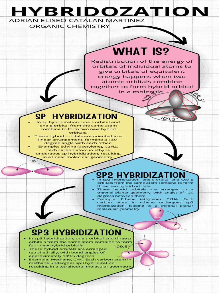 Hybridization Infographic With Rubric | PDF