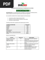 Folleto Florastart LQ | PDF | Flores | Botánica