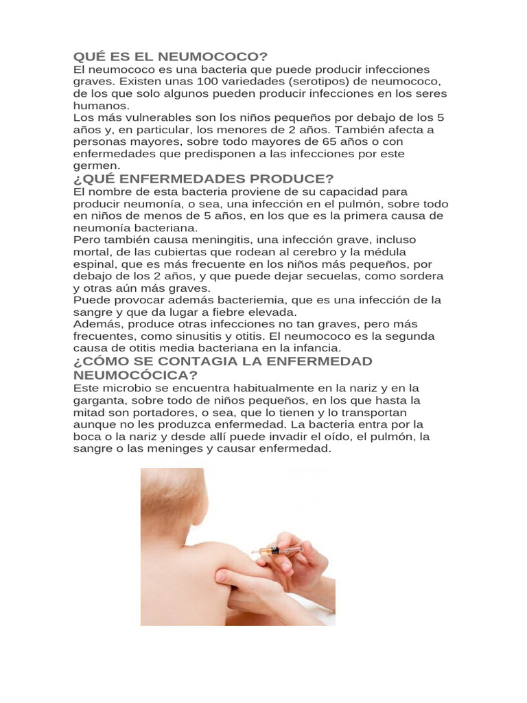 QUÉ ES EL NEUMOCOCO | PDF