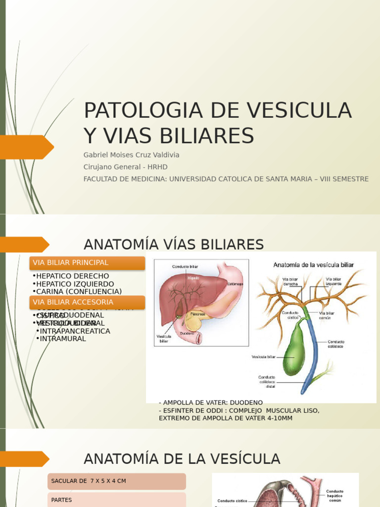 Patologías de Vías Biliares y Cáncer Etapa 4 | PDF | Sistema digestivo ...