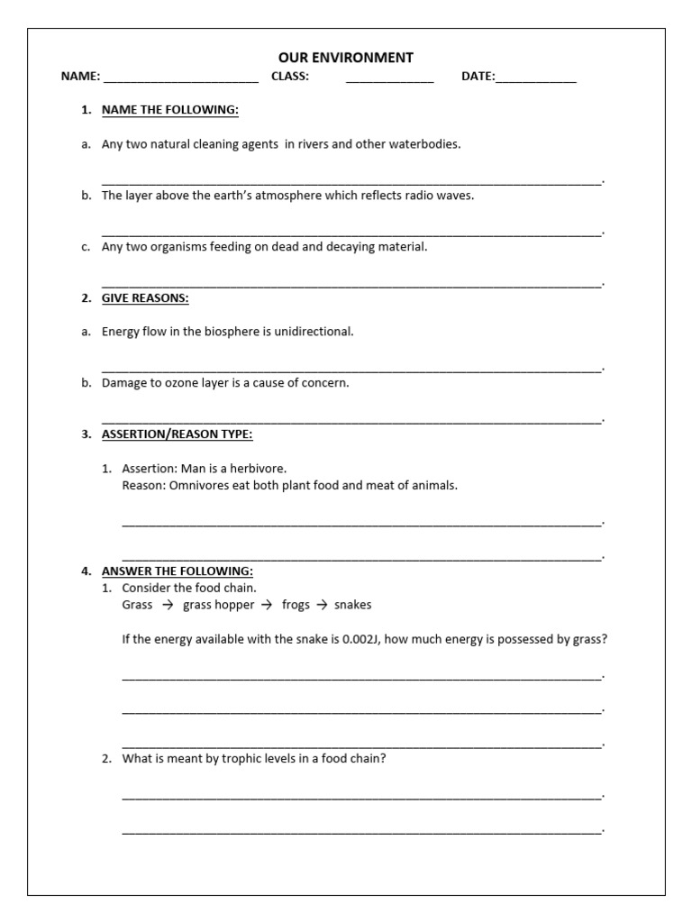 Chapter - 15 Ws-1 Our Environment Worksheets | PDF | Food Web | Ecosystem