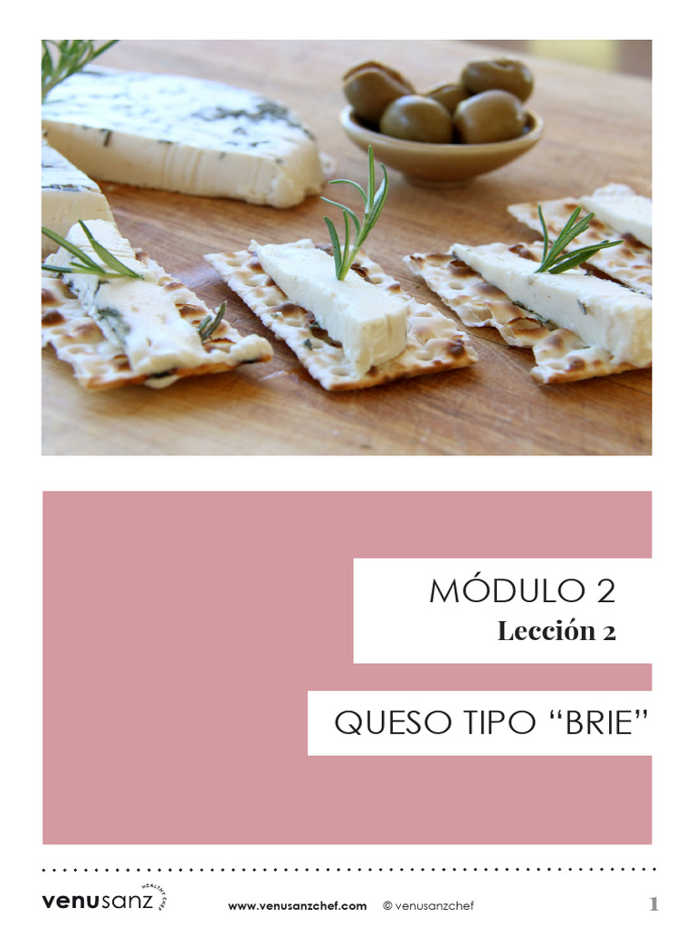 Lección 2 - Queso-Tipo-Brie | PDF | Queso | Refrigerador