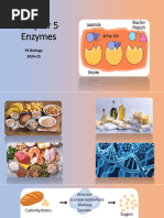 Amoeba Sisters Enzyme Handout | PDF | Enzyme | Catalase
