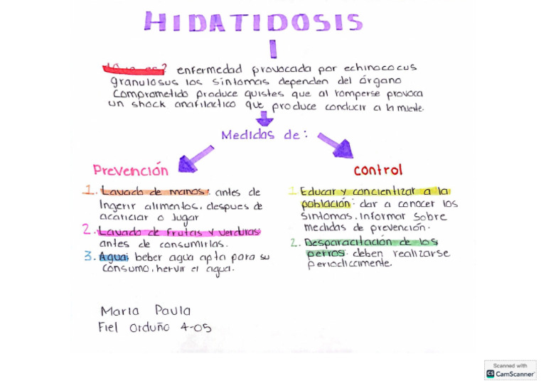 T22 - Fiel Orduño María Paula | PDF