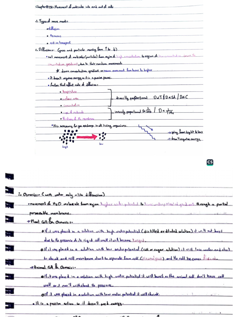 Active and Passive Transport | PDF
