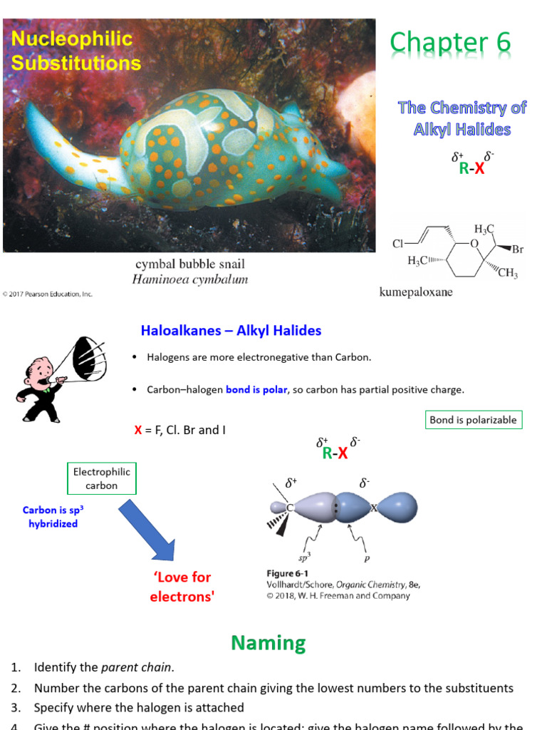 2210 Chapt6 Student | PDF | Chemical Reactions | Chemistry