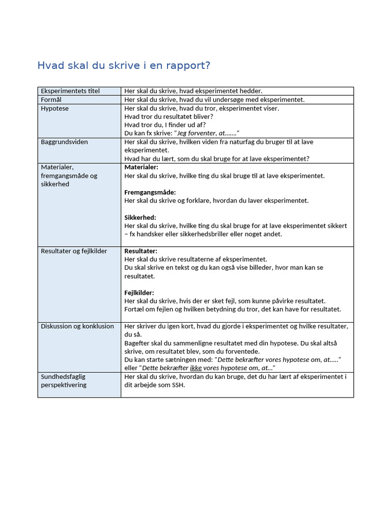 Hvad Skal Du Skrive I en Rapport - Vejledning | PDF