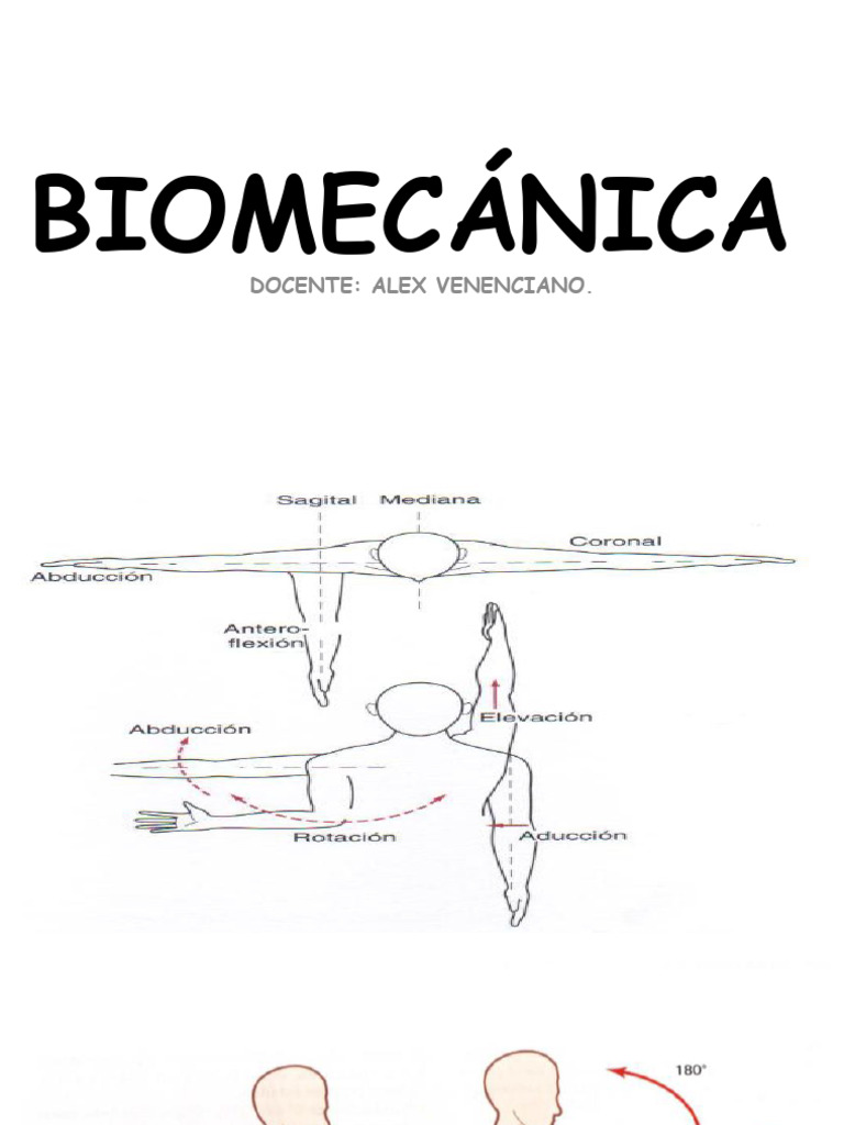 Eess 2024 | PDF | Articulaciones | Anatomía humana