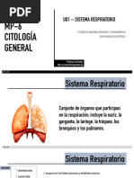 Fracciones Inhalable, Torácica y Respirable. Encarnación Sousa | PDF ...