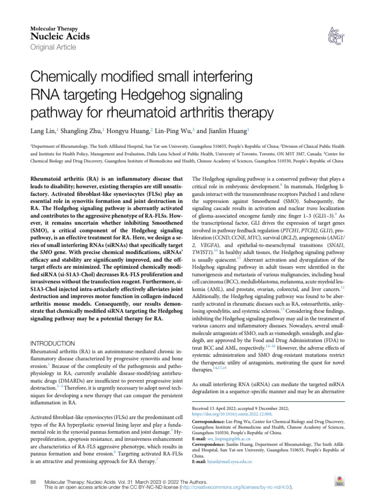 Chemically Modified Small Interfering RNA Targetin | PDF | Small ...