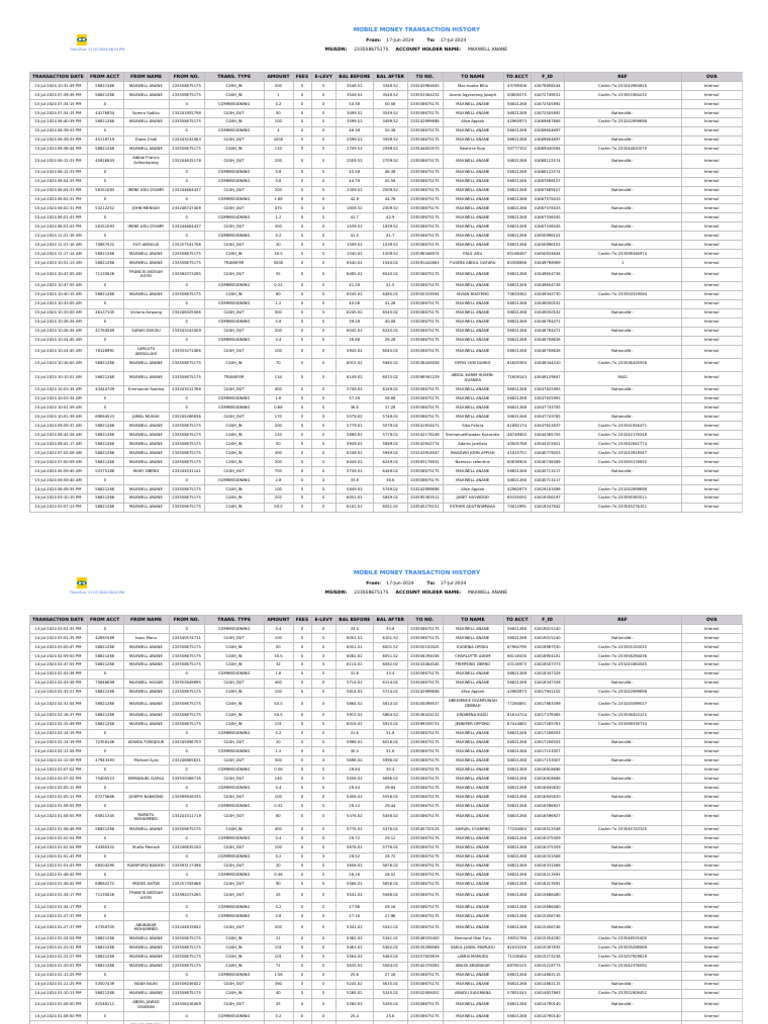 Momo Statement Report | PDF