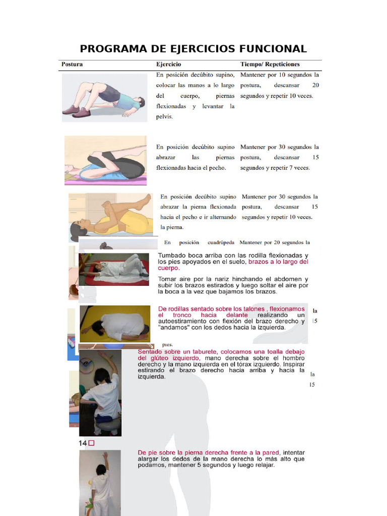 Programa de Ejercicios Funcional | PDF