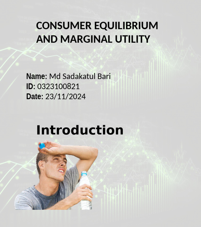 Marginal Utility | PDF