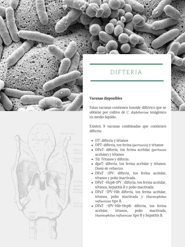 DIFTERIA. MARZO 23 - Compressed | PDF | Salud pública | Medicina