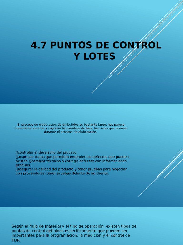 Control y Lotes en Producción de Embutidos | PDF | Informática