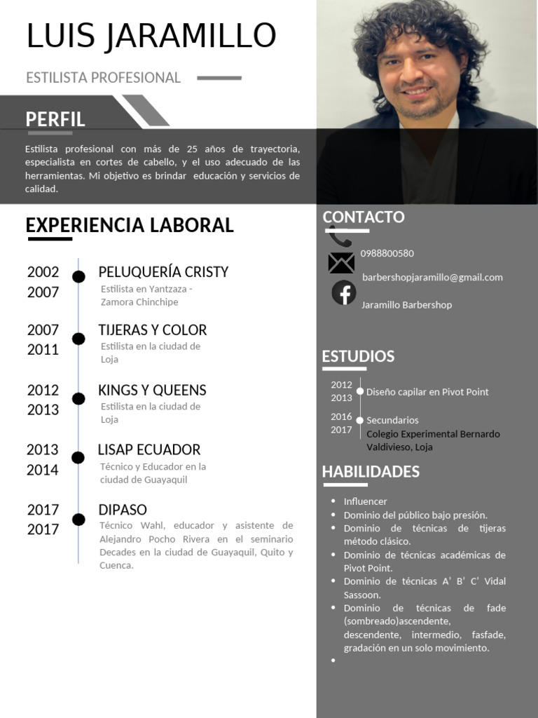 CURRICULUM VITAE Luis | PDF