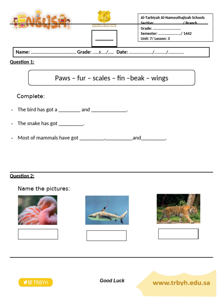 Worksheet U7 L3 Pdf