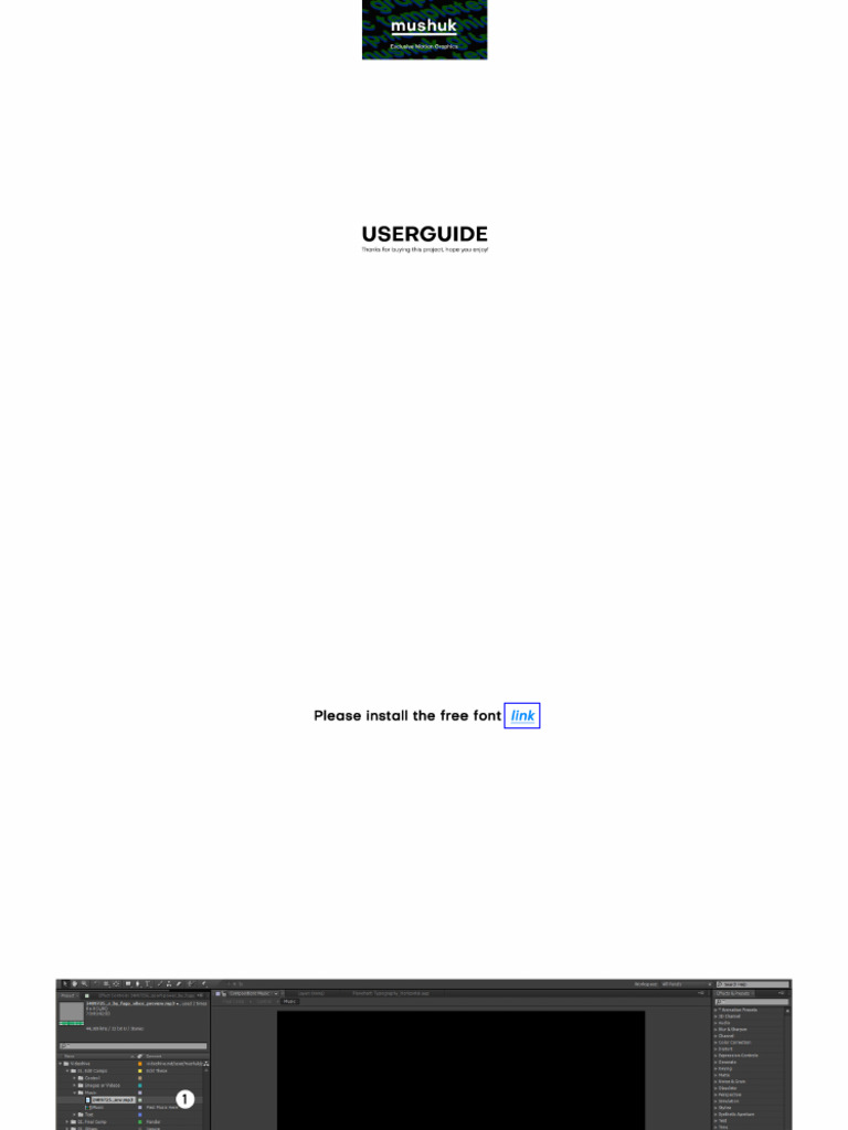 AE PROJECT - USERGUIDE | PDF